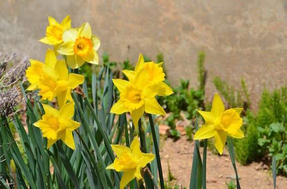 ポピポのブログ